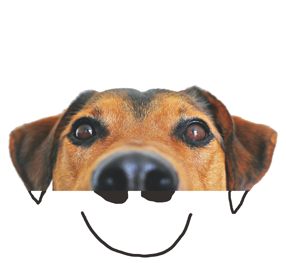 Cemshot Melba • Sorare